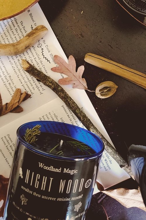 Nightwood Tumbler – Woodland Magic